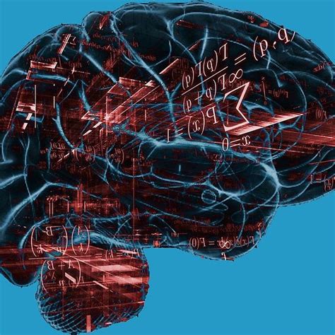 Math Brain