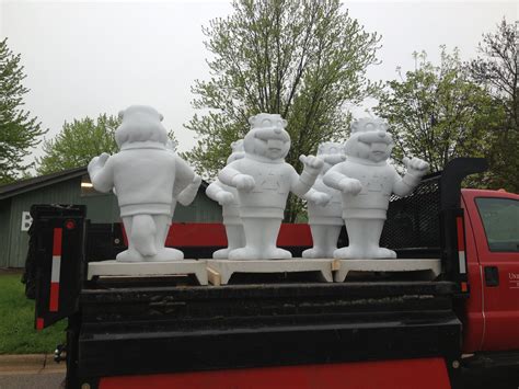 The Goldy Gopher Statues Arriving At The Arboretum Minnesota