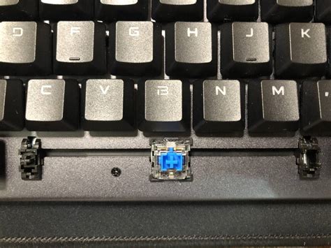 Broken Spacebar Stabilizer Peripherals Linus Tech Tips