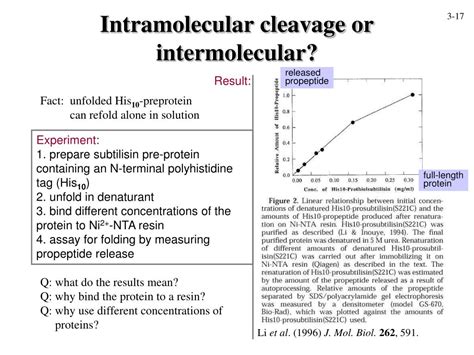 Ppt Protein Folding In The Cell I Powerpoint Presentation Free
