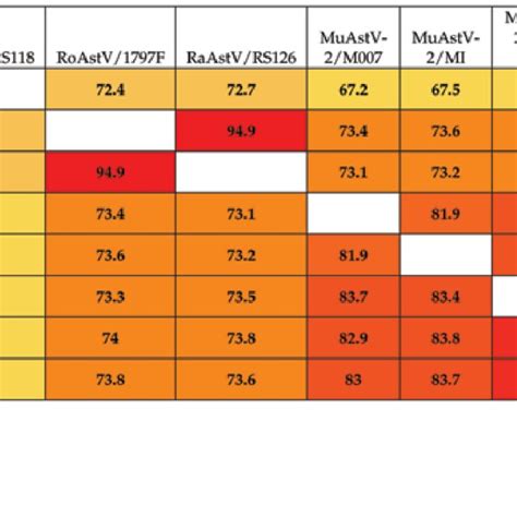 Pairwise Nucleotide Identity Matrix For The Capsid Protein Of Murine Download Scientific
