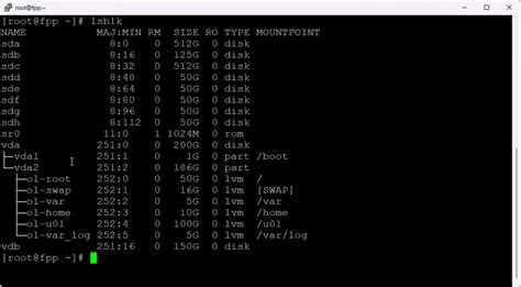 Mounting An ISCSI LUN In Oracle Linux Tales From The Datacenter V