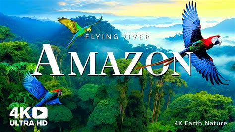 Amazon 4k • 4k Earth Nature • Beautiful Landscapes With Relaxing Music