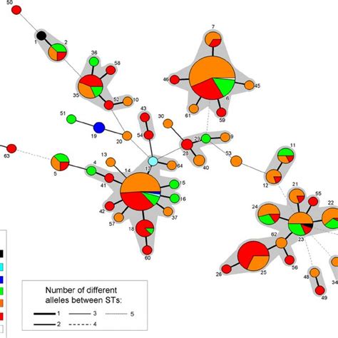 minimum spanning tree analysis using bionumerics version 7 1 of the
