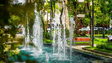 საქართველოს ინფრასტრუქტურის სამინისტროს მუნიციპალური განვითარების ფონდმა პროგრამა