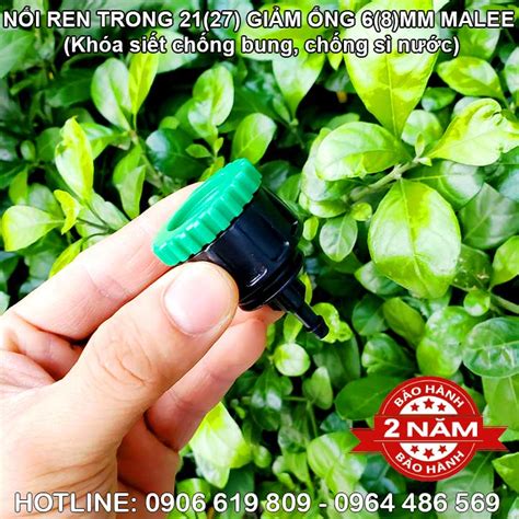 N I Ren Trong Gi M Ng Ly Malee Kh P Chuy N Ng