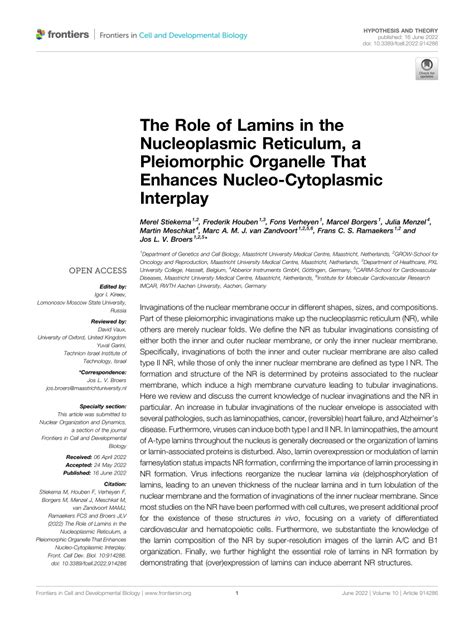 Pdf The Role Of Lamins In The Nucleoplasmic Reticulum A Pleiomorphic Organelle That Enhances