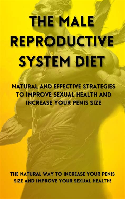 Smashwords The Male Reproductive System Diet Natural And Effective