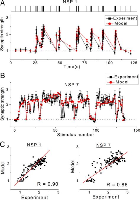 Prediction Of Synaptic Dynamics During Natural Stimulus Trains A
