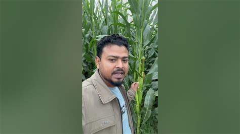 Allhamdulila Youtube