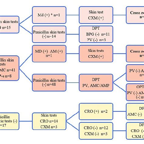 Diagnostic Approach And Test Results For Patients With Suspected Download Scientific Diagram