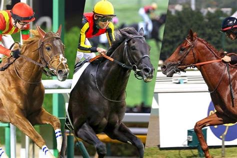 スターズオンアース（stars On Earth） 競馬データベース Jra Van World 海外競馬情報サイト