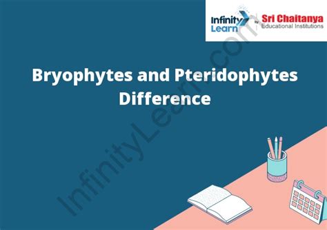 Bryophytes And Pteridophytes Difference Infinity Learn By Sri Chaitanya