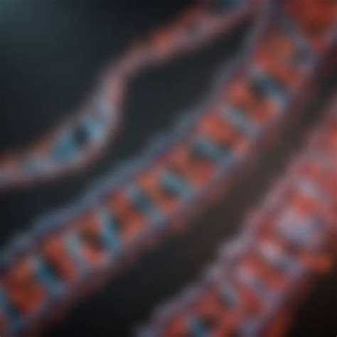 Translating Dna Sequences To Mrna A Comprehensive Guide