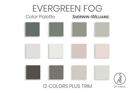 Sherwin Williams Color Of The Year 2022 Evergreen Fog Paint Palette