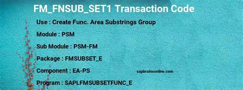 FM FNSUB SET SAP Tcode For Create Func Area Substrings Group