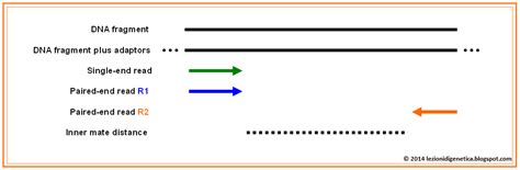 lezioni di genetica single end reads e paired end reads