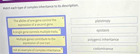 Solved Match Each Type Of Complex Inheritance To Its Description The