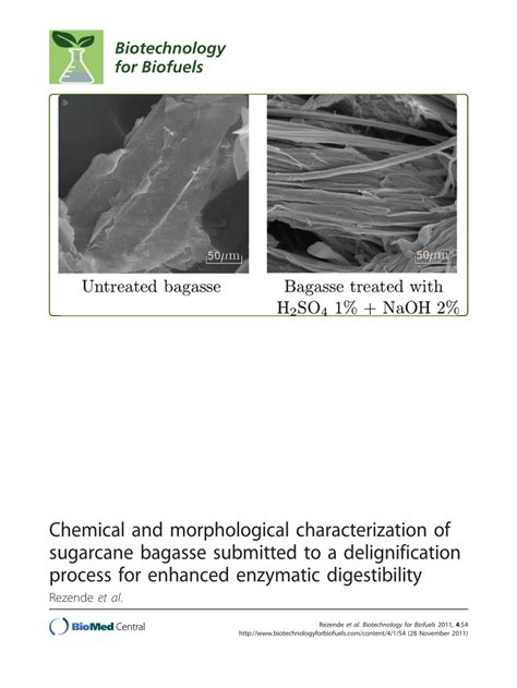 Pdf Chemical And Morphological Characterization Of Sugarcane Bagasse