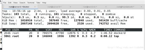 linux中top显示的信息详解 sdsypic top csdn博客