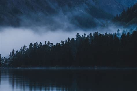 Dark Nature Wallpaper 4k For Pc Reddit