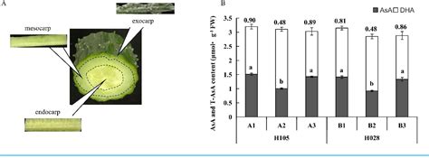 Figure 1 From Comparative Transcriptome Analysis Of Cucumber Fruit