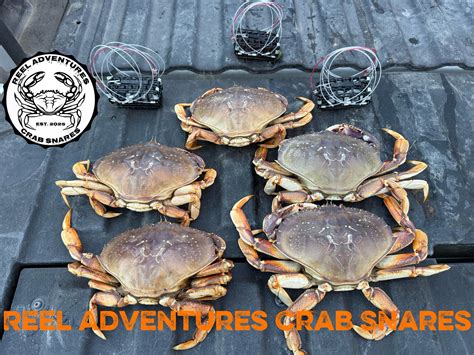 Reel Adventures Crab Snares Modesto Ca