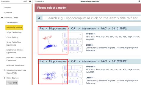 Morphology Visualization — Hbp Brain Simulation Platform Guidebook 01