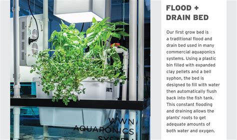 Aquaponics System Behance
