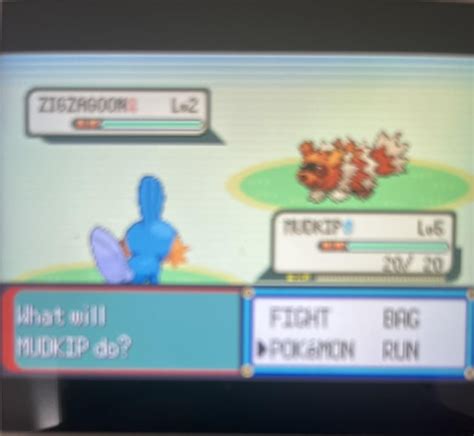 Emerald Shiny Zigzagoon Frame R Pokemonrng