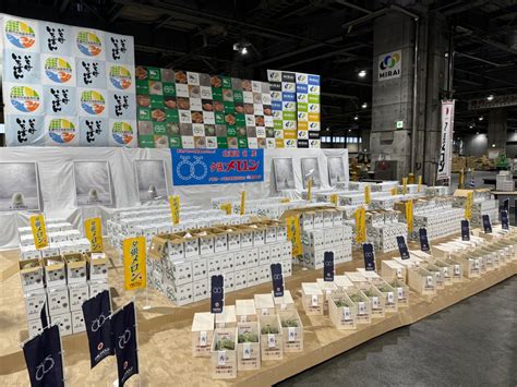 Ja夕張市「夕張メロン」の初出荷がありました 札幌みらい中央青果株式会社