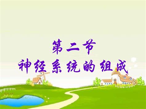 神经系统的组成 Word文档在线阅读与下载 无忧文档