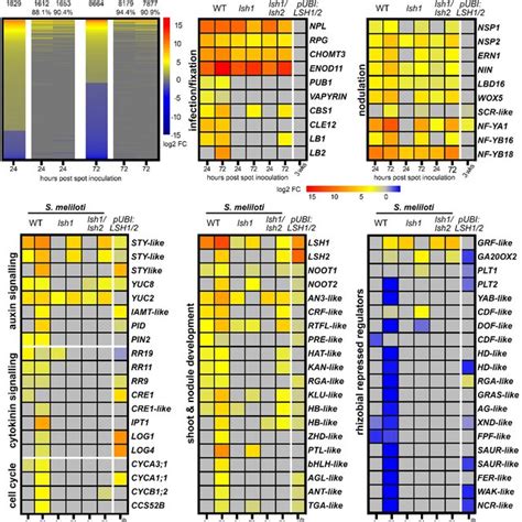 Giles Oldroyds Research Works University Of Cambridge Cambridge Cam And Other Places