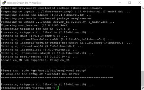 Sql Server 2019 Installation On Ubuntu Without A Docker Container