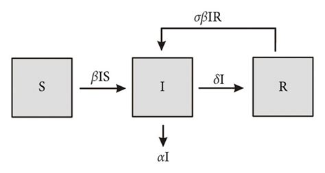 Flowchart Of The Variant Of Model Siri Considered This Is The