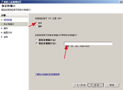 windows指定ip开放端口 win10向指定ip开发端口 csdn博客
