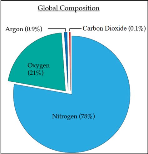 A P II Exam 3 Flashcards Quizlet