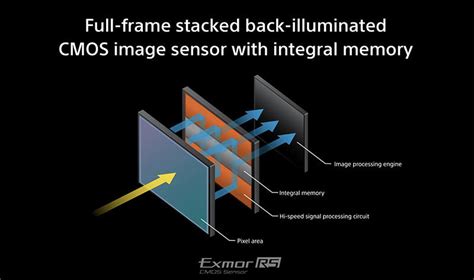 Sony A1 Vs A7r Iv The Key Differences
