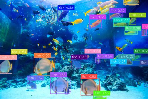 Yolo E Open Set Object Detection 찍먹하기