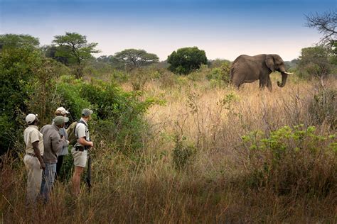Pacotes De Viagem Para África Do Sul Grande Safari