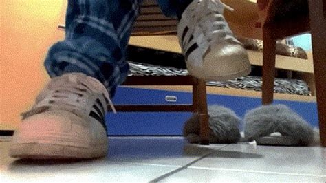 Paper S Crushed By My Sneakers Under My Divine Feet Clips4sale
