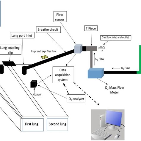 Set Up Of The Experimental Adult Bench Model Download Scientific Diagram