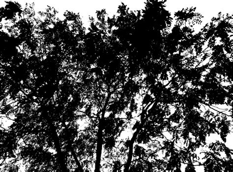 Free Tree Gobos 3d Rendernl