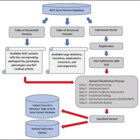Acmgamp Criteria For Variant Classification Step 4 In Variant