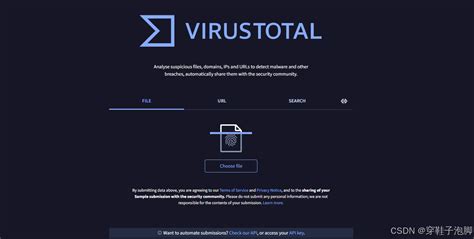 常见webshell后门查杀工具d盾 Csdn博客