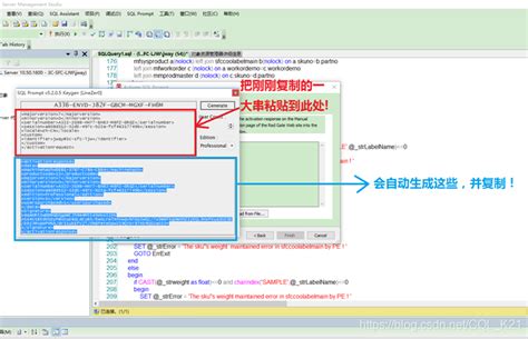 sqlprompt 激活使用 sqlprompt 10 14 11 csdn博客