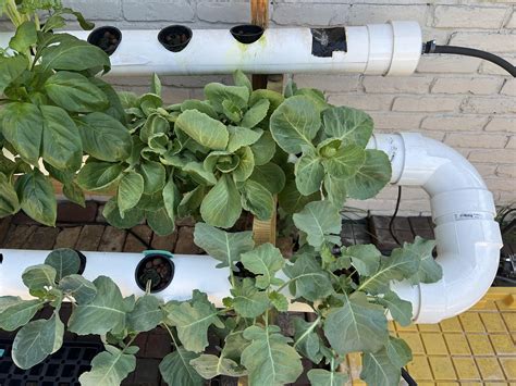 Hydroponic Gardening Rig Update You Guys Have Been Helpful So Far Im