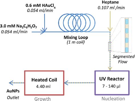 Schematic Of Reactor Setup Used Download Scientific Diagram