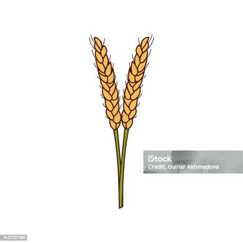 벡터에 밀 다채로운 낙서 일러스트레이션 벡터에 밀 다채로운 아이콘 보리 다채로운 낙서 일러스트 레이 션을 벡터로 만듭니다 다중 색상에 대한 스톡 벡터 아트 및 기타 이미지