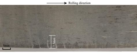 Rolling Simulation Results Download Scientific Diagram